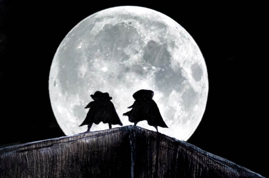 image gallery | The Hunchback and The Ladybird | Carnival Figures ...